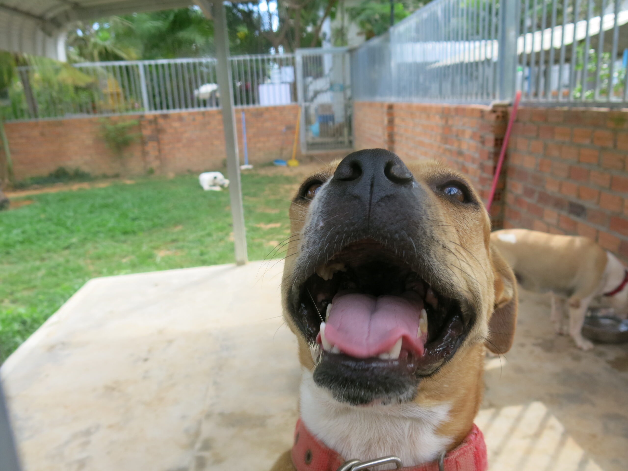 Contact - Animals Of Our World